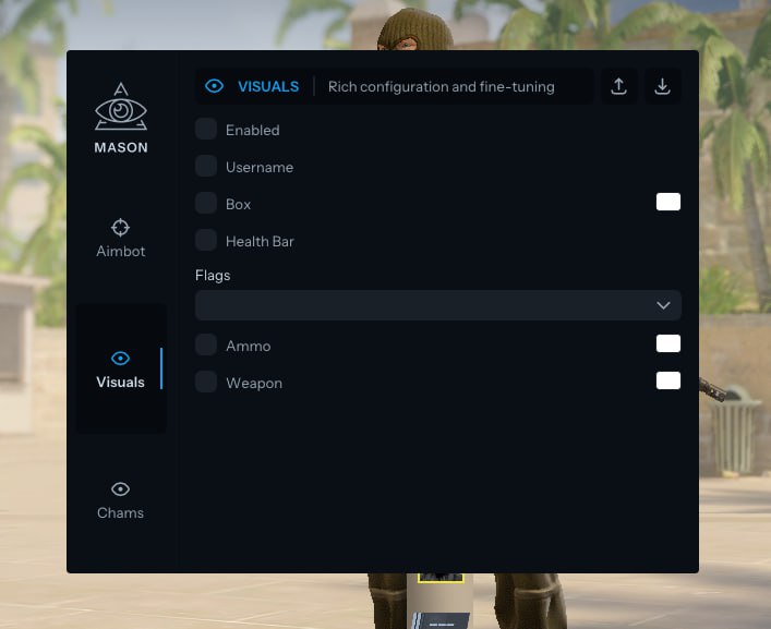 MASON Internal - CS 2 | Cheatrise